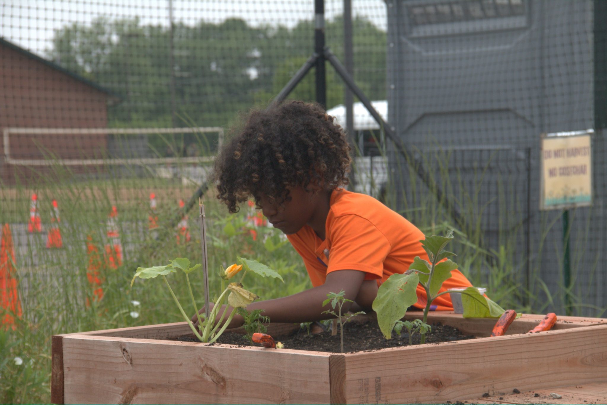 Hope Farm - The Hope Center
